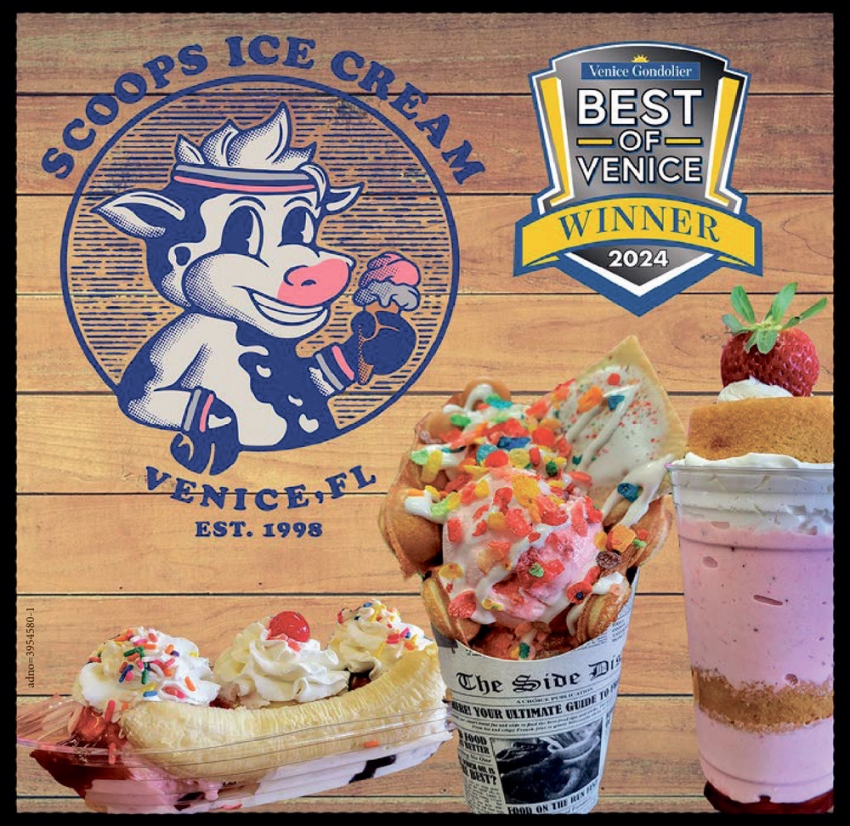 Ice Cream, Scoops Venice Ice Cream, Venice, FL